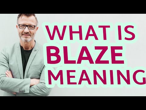 Blaze | Definition of blaze