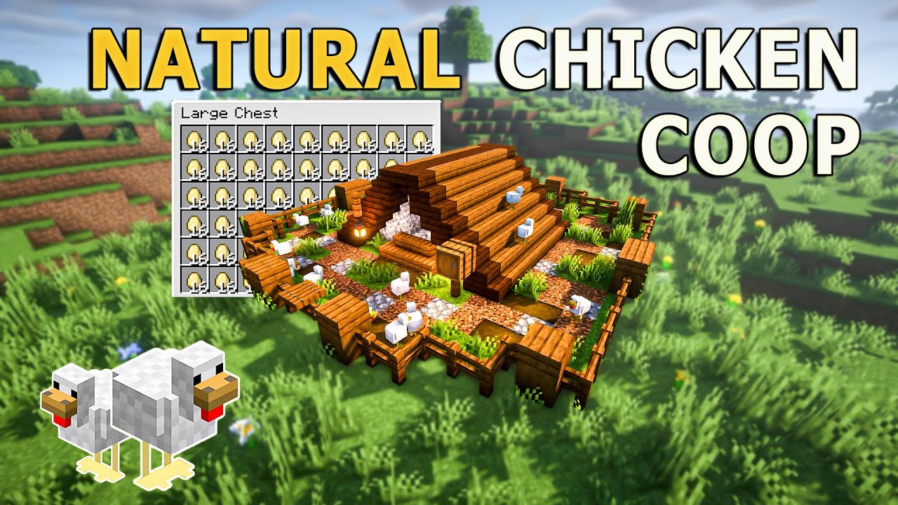 EASY Natural Chicken Farm Coop Tutorial in Minecraft 1.20! | Tutorial