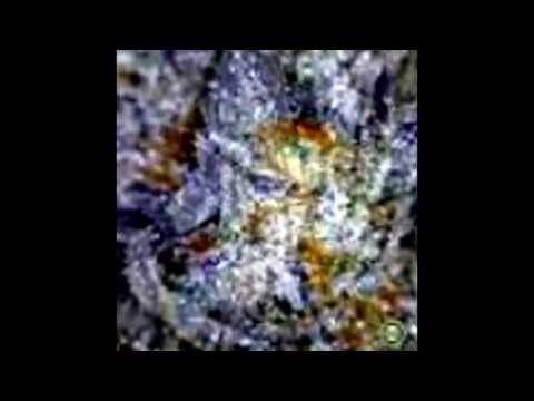 Top 3 OG Kush Strains (Gas)