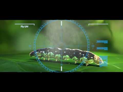 Syngenta Insecticide - Latest Price, Dealers & Retailers in India