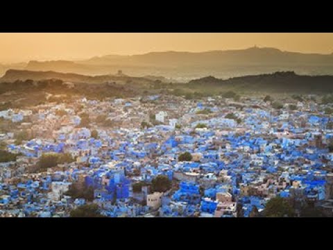 Race, Caste, Colorism (Northwestern Buffett Global Working Group)