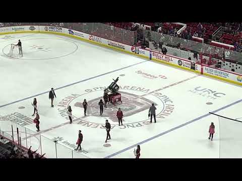 Stormy(Carolina Hurricanes mascot)
