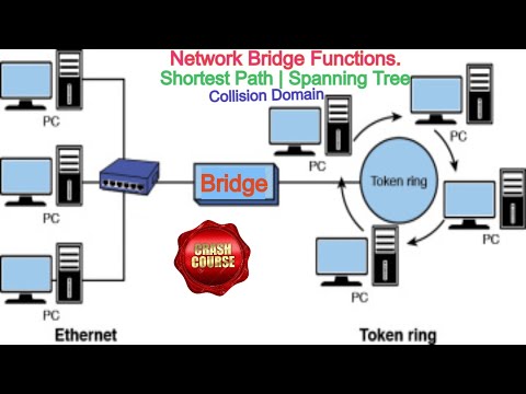 Bridge Network function| What is a Network Bridge | Bridge in Networking |Spanning tree |Bridge uses