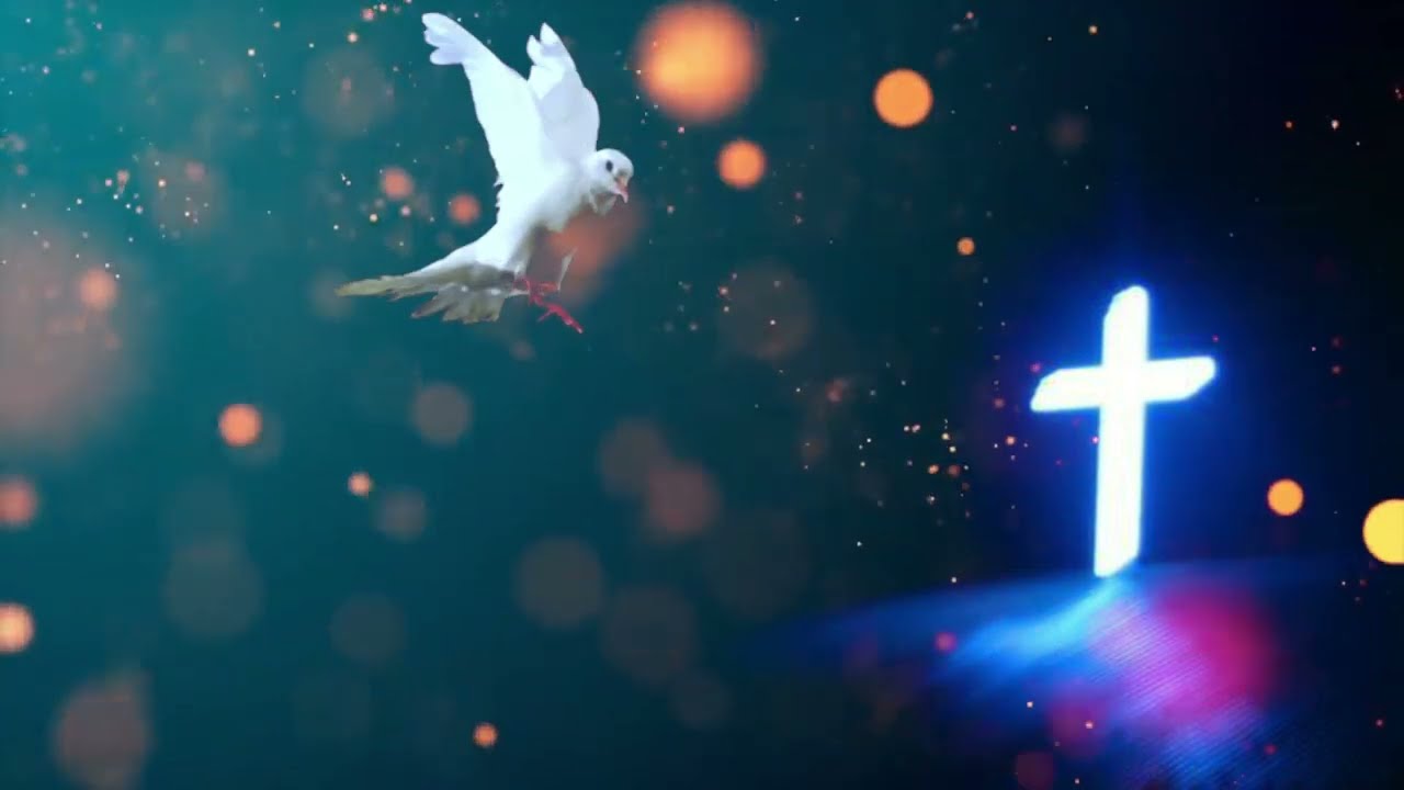 Holy Spirit in a form of Dove Easy Worship Background - Video Loop