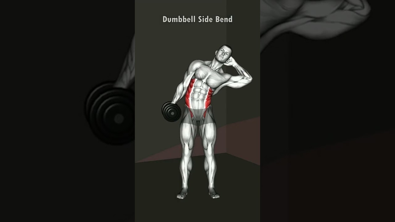 The Dumbbell Side Bend is a great Waist exercise - Save and try your next workout