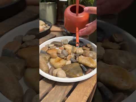 How To Create An Easy Bee Bath / Fountain