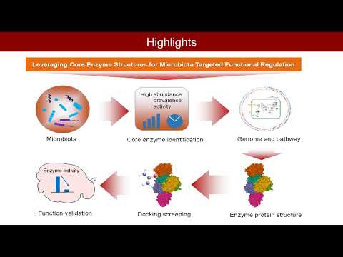 iMeta | Leveraging core enzyme structures for microbiota targeted regulation: Urease as example