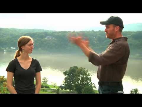 Green Roof Technology