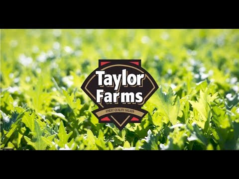 Taylor Farms Foodservice Arugula