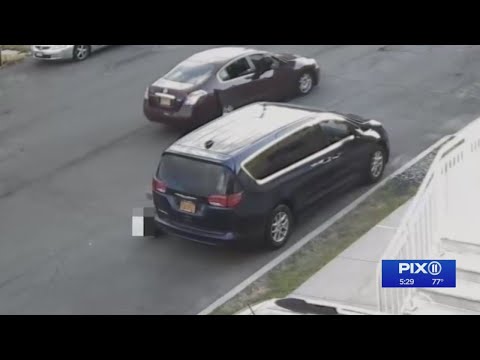 Video shows Bronx gang hit against reputed mobster at McDonald’s: prosecutors