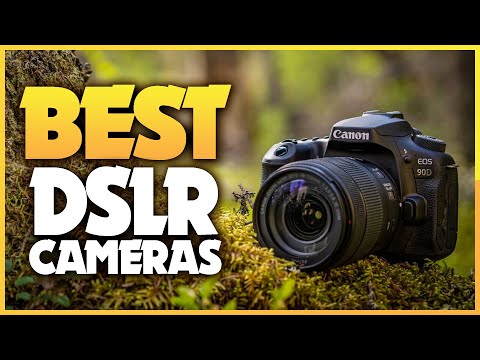 Best DSLR Cameras 2022 | Top 5 Best DSLR Cameras On Amazon