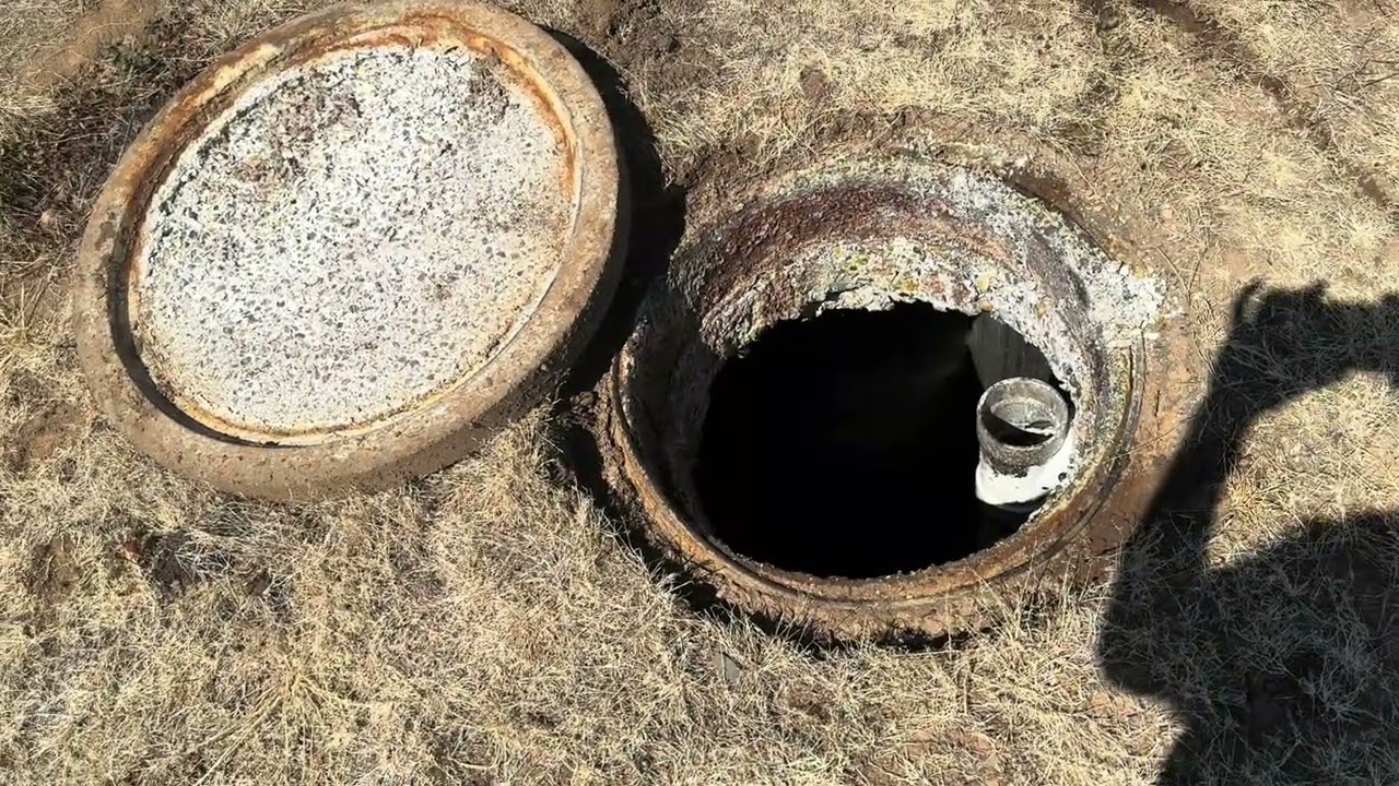 Septic System 2025 that is 11 Years Old