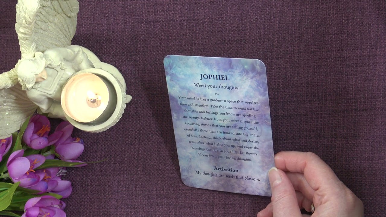 Your Daily Angel Message - A Little Angel Message — What the Angels Want You to Know Today ✨