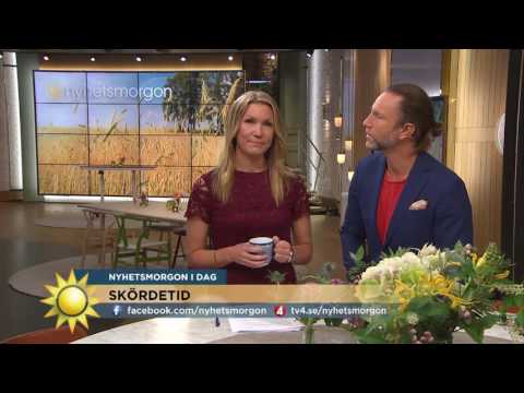 Det här händer idag - Nyhetsmorgon (TV4)