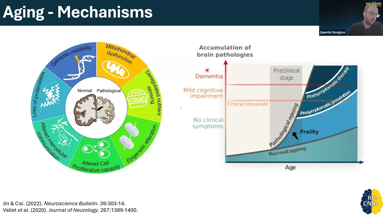Non-pharmacological interventions in aging and neurodegenerative disorders