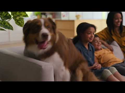 Amazon Echo Dot (5th Gen) Review: Best Alexa Smart Speaker for Music & Smart Home | 2025