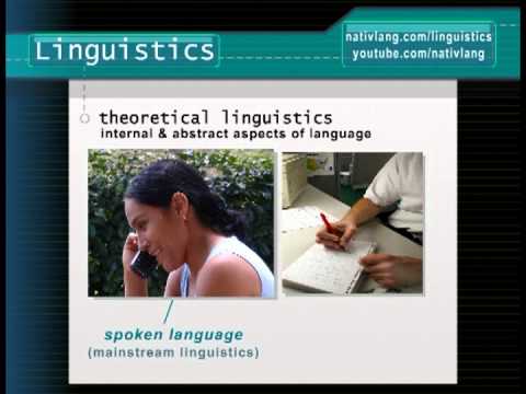 What is linguistics? How do linguists study language? -- Linguistics 101