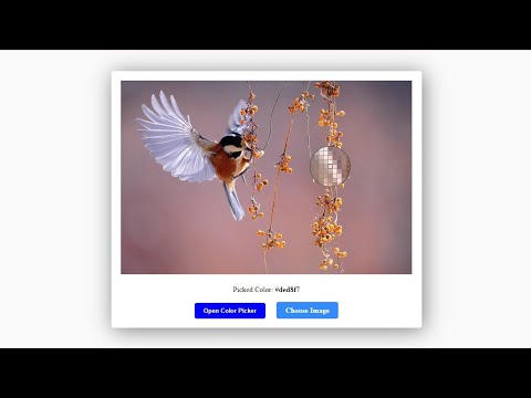 Image Color Picker using HTML CSS & JavaScript