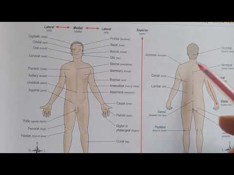 Planes of body | frontal , coronal and saggital | Human Anatomy and physiology