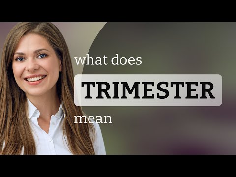 Trimester — what is TRIMESTER definition