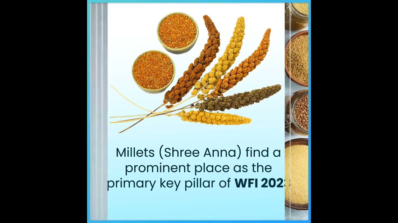 International Delegates Day | #InternationalDelegatesDay