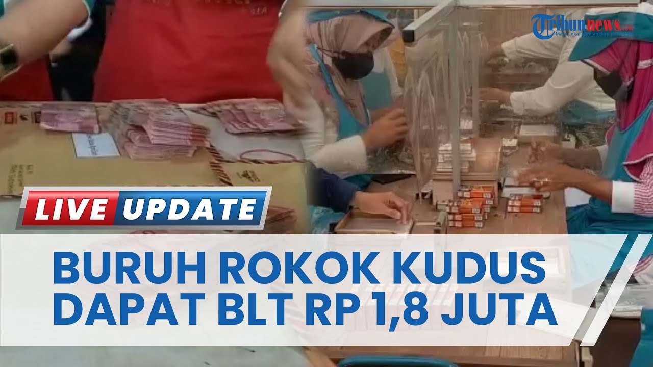 Buruh Rokok di Kudus Dapat BLT Cukai Rp 1,8 Juta untuk Penuhi Kebutuhan Hidup, akan Dibagi 3 ...