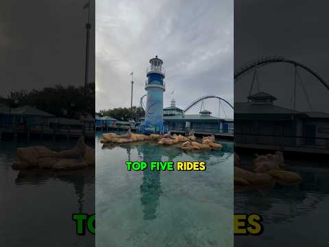 my top five rides at seaworld orlando! do you agree?🤔 #top5 #seaworld #themepark #rollercoasters