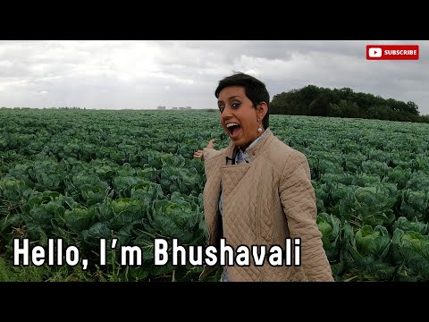 My Travelogue by Indian Travel Blogger Bhushavali