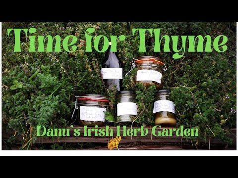 Time for Thyme