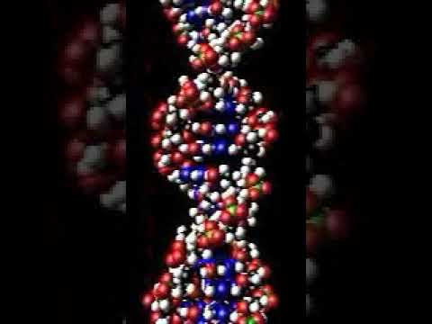 Jay Laurence Lush | Wikipedia audio article
