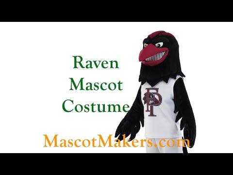 Rocky the Raven Mascot | Mascot Makers - Custom mascots and characters