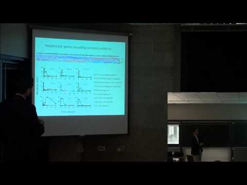 Liver-Mediated Protection of Ischemic Myocardium