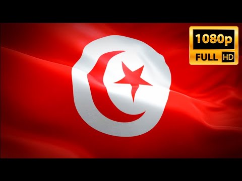 Tunisia waving flag. National 3d Tunis flag waving. Sign of Tunisian. Tunisia flag H