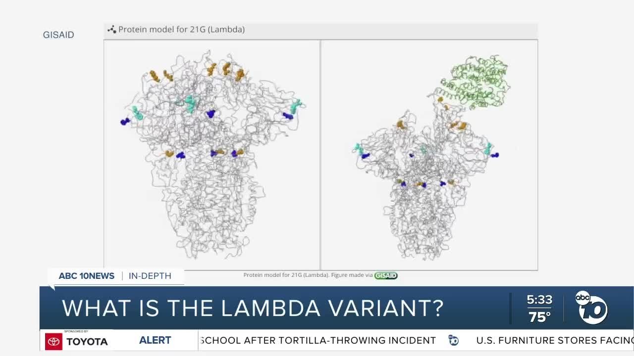 In-Depth: What is the lambda variant of COVID-19?