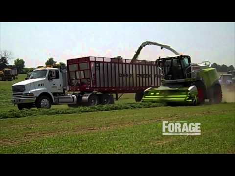 Equipment demonstrations: Merging and chopping at Farm Technology Days 2013