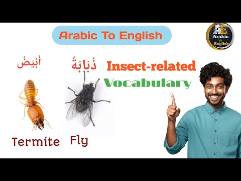 Insect Vocabulary In Arabic And English | HARUN