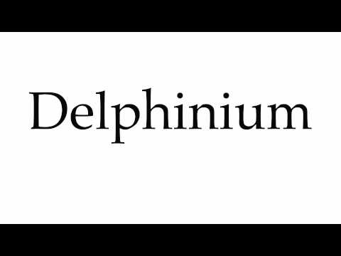 How to Pronounce Delphinium