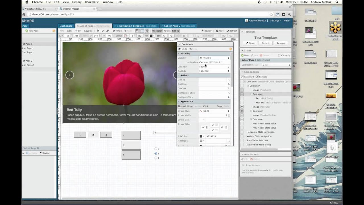 ProtoShare Advanced Webinar 9-19-2012