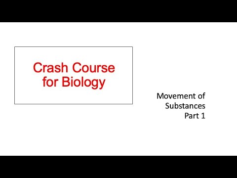 [Crash Course] O and N level Biology (03A Movement of Substances: Part1)