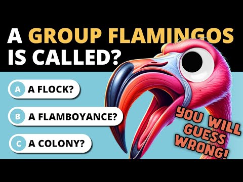 Can You SCORE 15 Out of 20? 🧠 Test If You Can Beat This General Knowledge Quiz Qame! 🏆