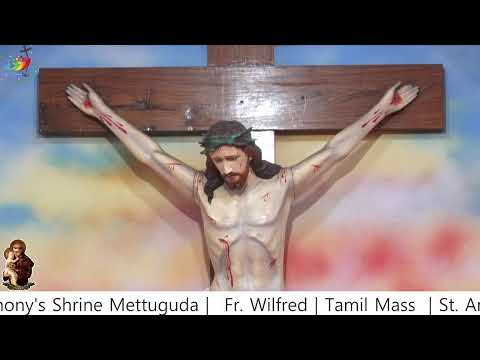 Fr. Wilfred | Tuesday Tamil Mass 6pm | St. Anthony's Shrine Mettuguda | 17-6-25