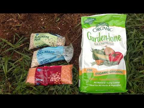Cover crops from the Grocery store? Fertility vs. Fertilzer, and Blueberries