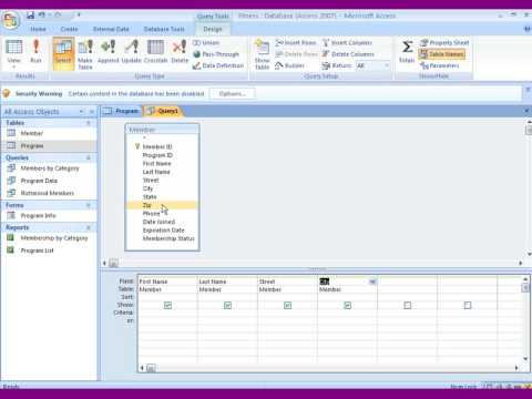Access 2007 - query