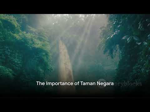 Interesting facts about Malaysia
