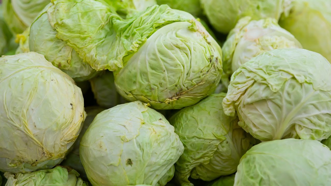 Mistakes Everyone Makes When Cooking Cabbage