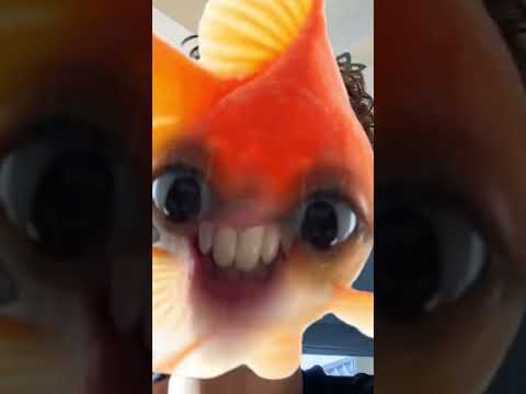 HOLA!