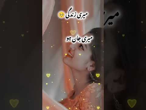 MERI ZINDAGI MERI JAAN HO TUM #poetry #verysadpoetryinurdu #sadshayaristatus #sadpoetry #โฃ #โฃ