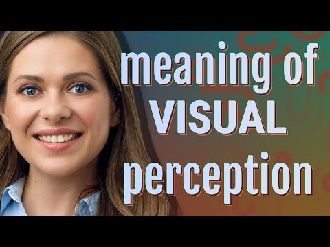 Visual perception | meaning of Visual perception