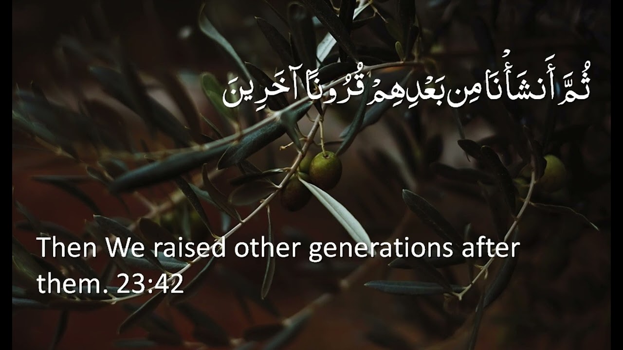 Surah 23 Al Mu minun Only English Translation