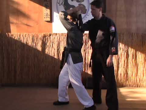 Kenpo: Introduction to Jujitsu, Four Directional Throw
